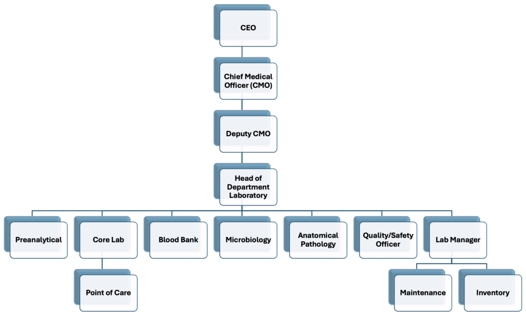 Organizational Structure – Medical Laboratory